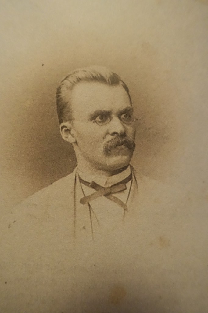 Pictures of Nietzsche – Nochrisis