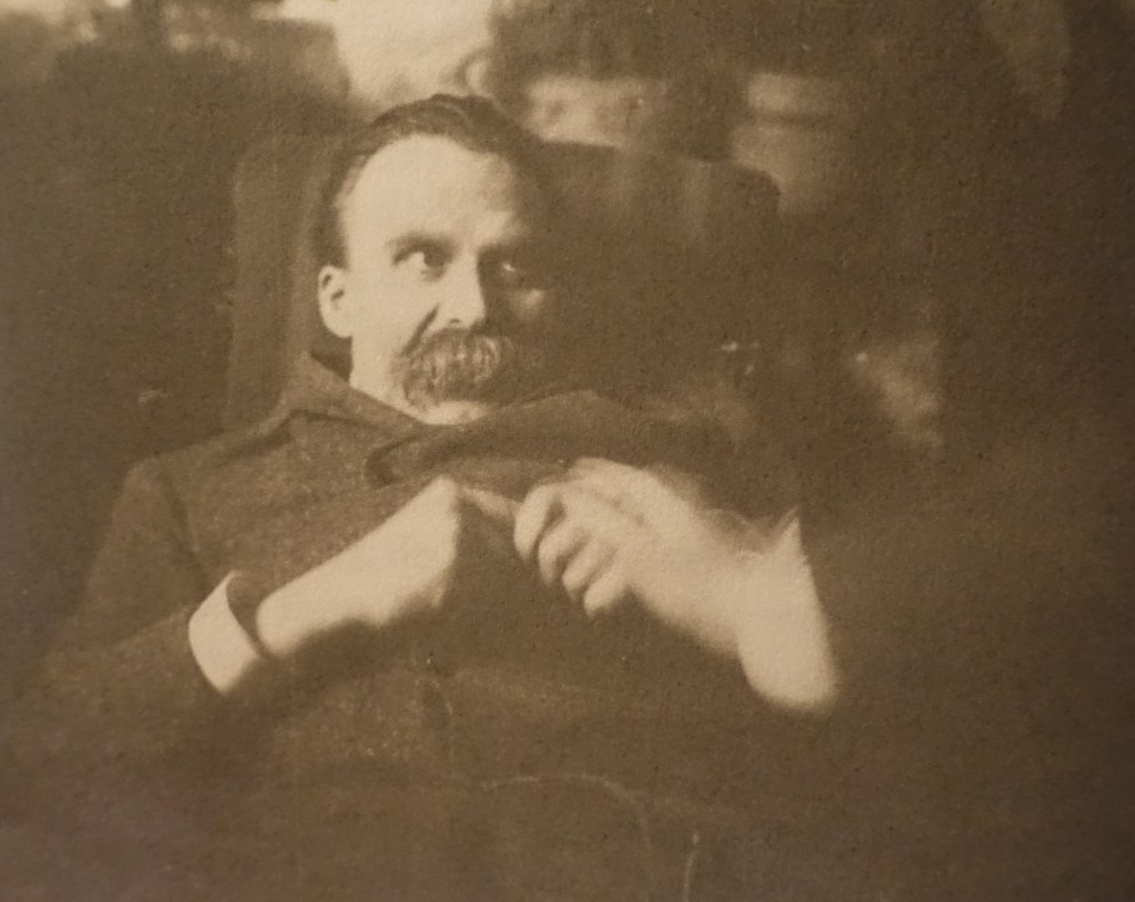 Pictures of Nietzsche – Nochrisis