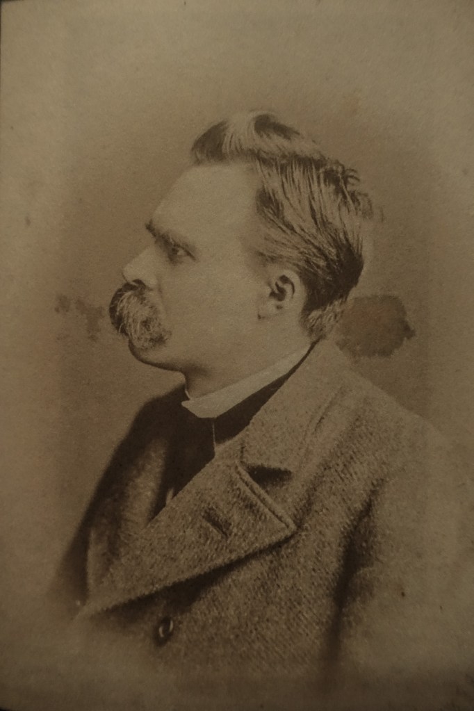 Pictures of Nietzsche – Nochrisis