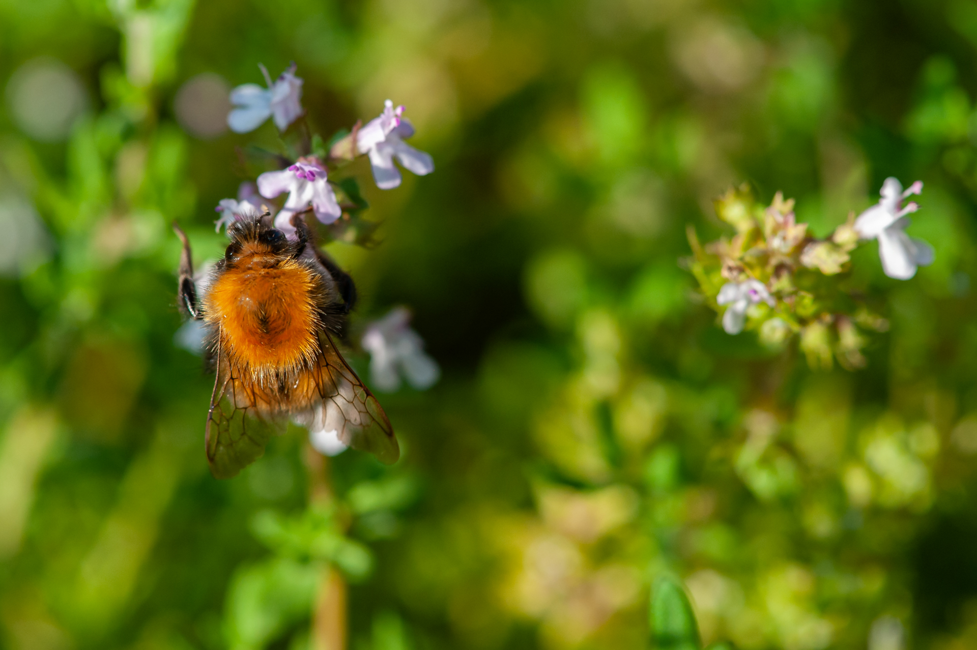 Day 1960, breeze. – Nochrisis