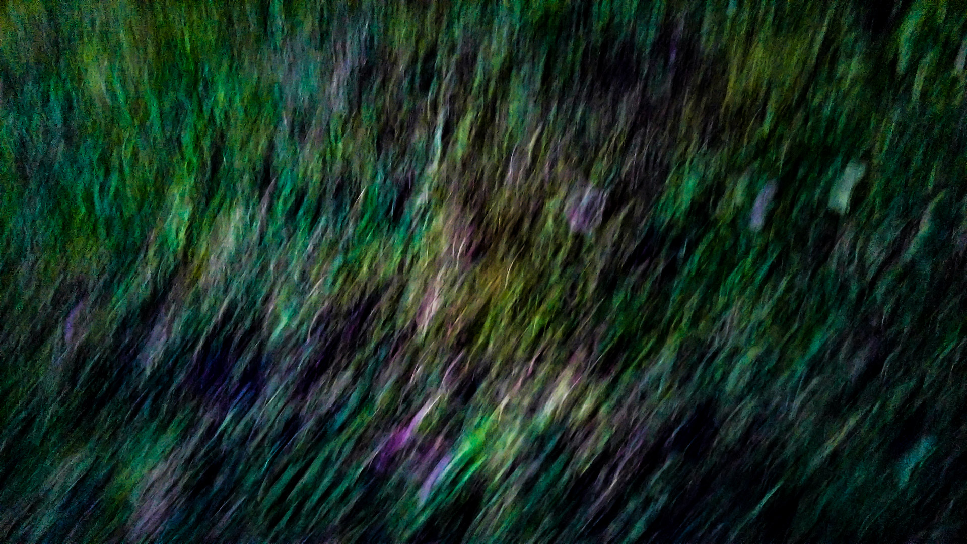 Day 3578, ABANDONMENT. – Nochrisis