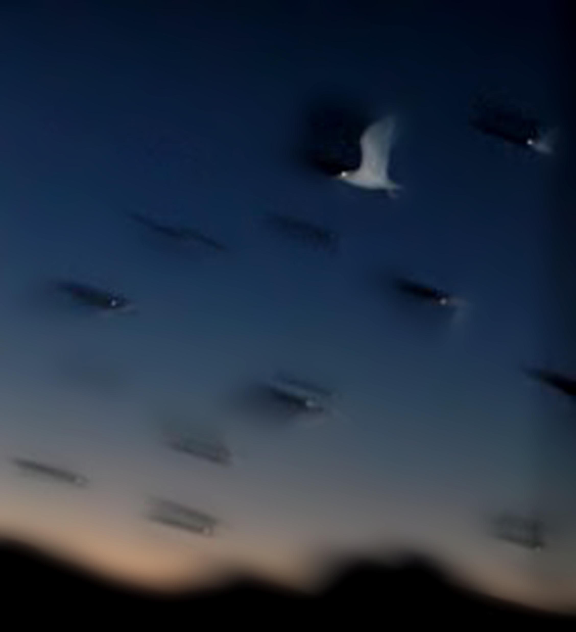 Day 3580, ABSOLUTE. – Nochrisis